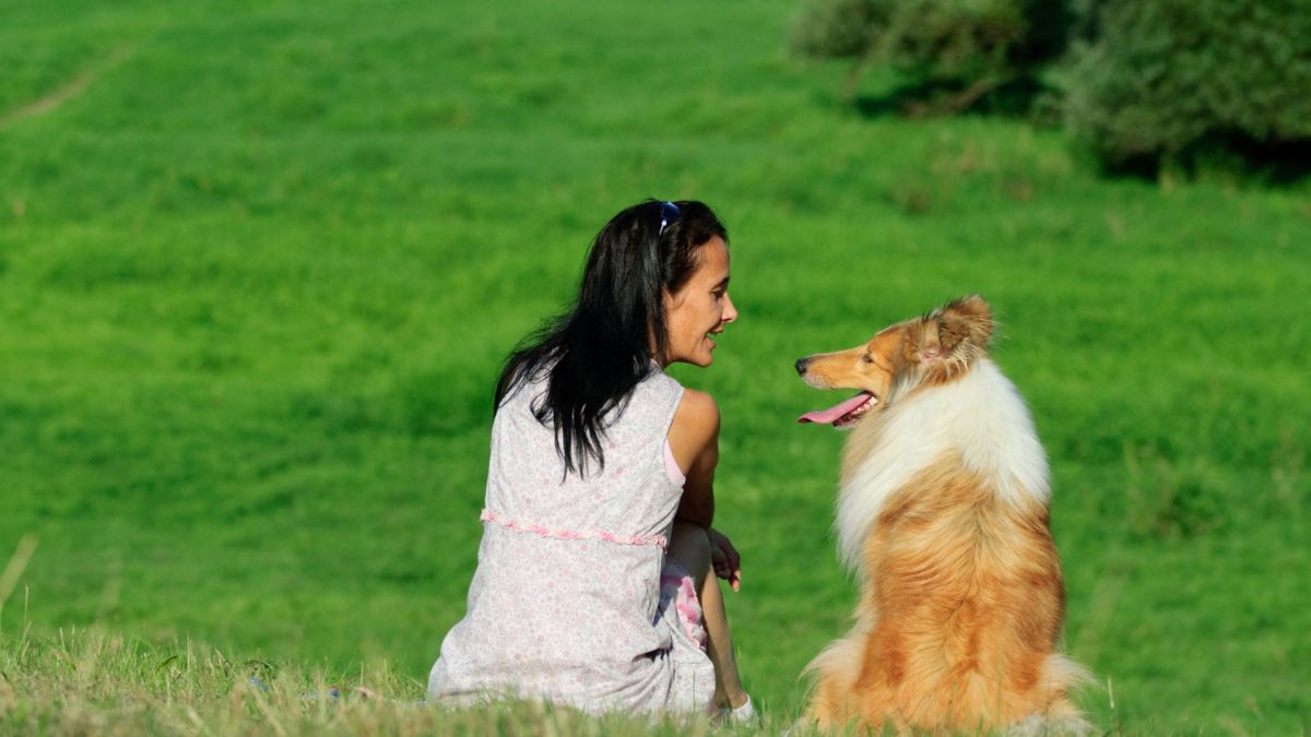 Understanding Dog Behaviour | The Happy Mutt Co